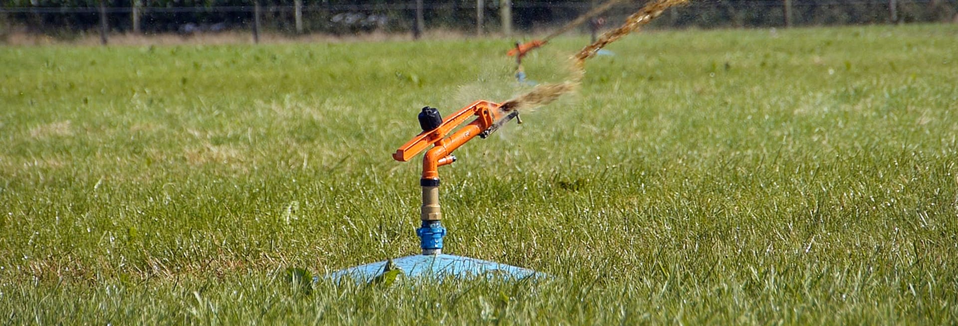 Fertigation – A Smart Strategy For Crop Irrigation | Nevada