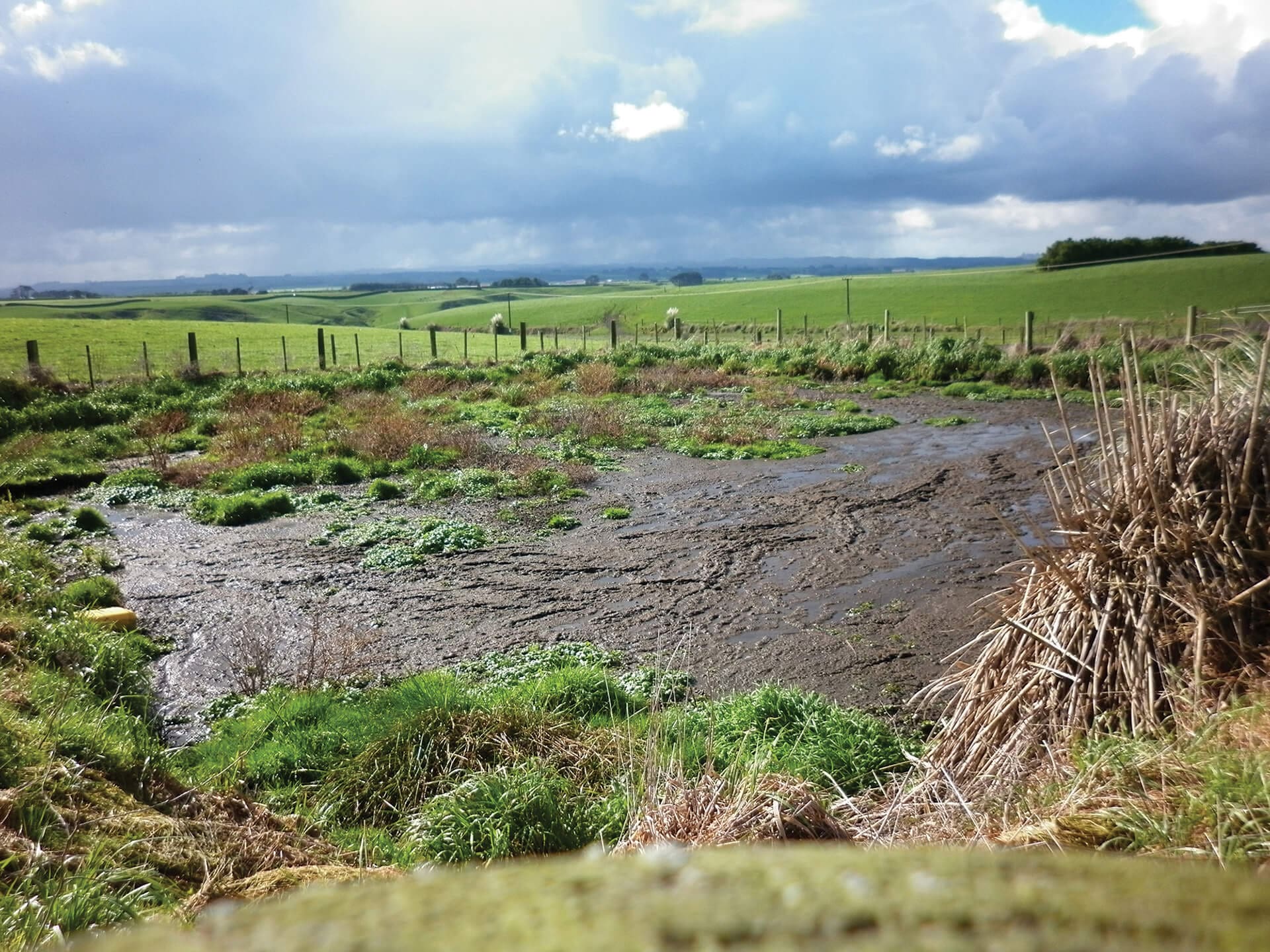 Why Do Effluent Ponds Get Crusty? | Nevada