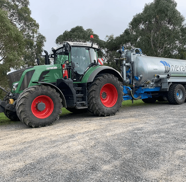 Nevada International